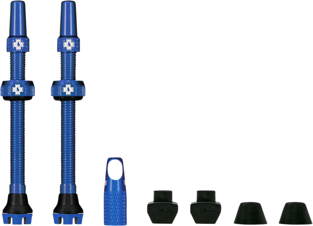 Tubeless Valve Stems - Blue – Electrek Moto